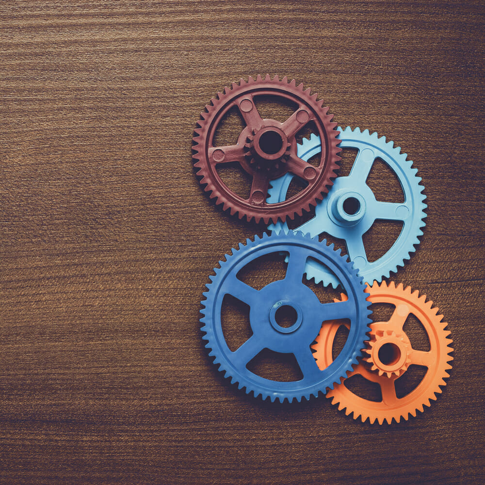 The endocannabinoid system